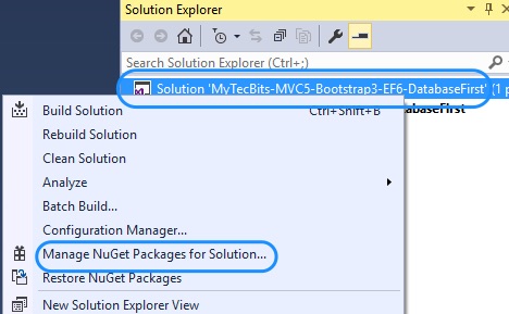 Bootstrap 3 With MVC 5 And Entity Framework 6 Database First | My Tec Bits
