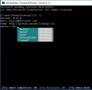 MSSQL-CLI: An Interactive Command Line SQL Server Query Tool | My Tec Bits