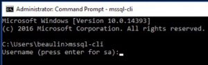 MSSQL-CLI: An Interactive Command Line SQL Server Query Tool | My Tec Bits