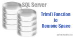 TRIM() Function To Remove Space In SQL Server | My Tec Bits